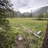 Adams Falls Trail, Colorado - 3,210 Reviews, Map | AllTrails