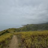 Corral Canyon Loop, California - 1,879 Reviews, Map | AllTrails