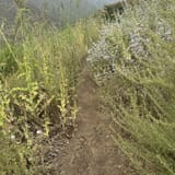 Corral Canyon Loop, California - 1,879 Reviews, Map | AllTrails