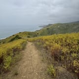 Corral Canyon Loop, California - 1,879 Reviews, Map | AllTrails