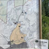 Four Waterfalls Trail , North Carolina - 1,326 Reviews, Map | AllTrails