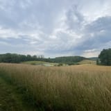 Okehocking Preserve Loop, Pennsylvania - 1,216 Reviews, Map | AllTrails
