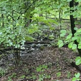 Cascade Falls Loop Trail, Massachusetts - 875 Reviews, Map | AllTrails