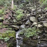 Cascade Falls Loop Trail, Massachusetts - 875 Reviews, Map | AllTrails