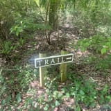 Britton Hill - Florida Highpoint, Florida - 199 Reviews, Map | AllTrails