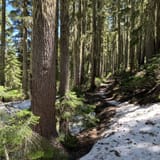 Yoran Lake Trail, Oregon - 82 Reviews, Map | AllTrails