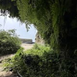 Old Cove Landing Trail, California - 3,935 Reviews, Map | AllTrails