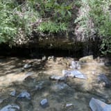 Dripping Rock Falls, Utah - 743 Reviews, Map | AllTrails