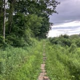 Gull Point Trail, Pennsylvania - 249 Reviews, Map | AllTrails