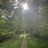Gull Point Trail, Pennsylvania - 249 Reviews, Map | AllTrails