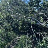 Sugar River State Trail, Wisconsin - 254 Reviews, Map | AllTrails