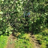 Sugar River State Trail, Wisconsin - 254 Reviews, Map | AllTrails