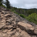 Angels Rest to Devil's Rest Loop Trail, Oregon - 1,242 Reviews, Map ...