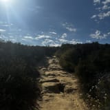 Temescal Canyon Trail, California - 10,769 Reviews, Map | AllTrails