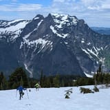 Mount Dickerman Trail, Washington - 1,587 Reviews, Map | AllTrails