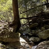 Cataract Falls Trail, California - 3,912 Reviews, Map | AllTrails