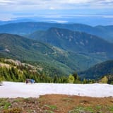 Mount Townsend Trail, Washington - 1,919 Reviews, Map | AllTrails