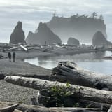 Ruby Beach, Washington - 1,637 Reviews, Map | AllTrails