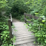 Tryon Creek Triple Bridge Loop, Oregon - 1,636 Reviews, Map | AllTrails