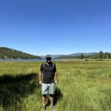 Sagehen Creek Loop, California - 1,097 Reviews, Map | AllTrails