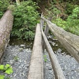 Staircase Rapids Loop, Washington - 2,766 Reviews, Map | AllTrails
