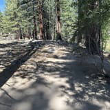 Dry Pond Loop, Nevada - 1,505 Reviews, Map | AllTrails