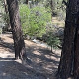 Dry Pond Loop, Nevada - 1,505 Reviews, Map | AllTrails