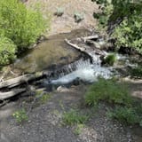 Dry Pond Loop, Nevada - 1,505 Reviews, Map | AllTrails