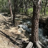 Dry Pond Loop, Nevada - 1,505 Reviews, Map | AllTrails