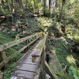 Bootjack Loop, California - 1,897 Reviews, Map | AllTrails