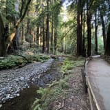 Bootjack Loop, California - 1,840 Reviews, Map | AllTrails