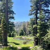 Lake Margaret Trail, California - 1,082 Reviews, Map | AllTrails