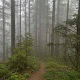 Mount June Trail, Oregon - 239 Reviews, Map | AllTrails