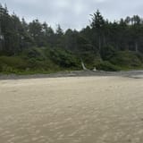 Hug Point Trail, Oregon - 876 Reviews, Map | AllTrails