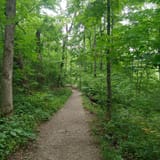 Nine Penny Branch Loop, Indiana - 632 Reviews, Map | AllTrails