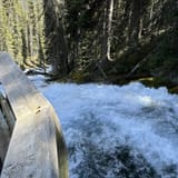 Karst Spring Trail, Alberta, Canada - 968 Reviews, Map | AllTrails