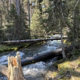 Karst Spring Trail, Alberta, Canada - 968 Reviews, Map | AllTrails
