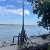 Guana, Timucuan, and South Point Loop Trail Loop, Florida - 750 Reviews ...