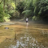 Rock Bridge Trail, Kentucky - 3,629 Reviews, Map | AllTrails