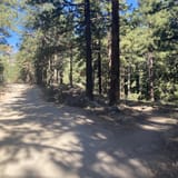 Dry Pond Loop, Nevada - 1,505 Reviews, Map | AllTrails