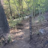 Dry Pond Loop, Nevada - 1,505 Reviews, Map | AllTrails