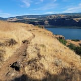 Rowena Plateau Trail, Oregon - 845 Reviews, Map | AllTrails