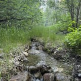 Tibble Fork Loop Trail, Utah - 833 Reviews, Map | AllTrails