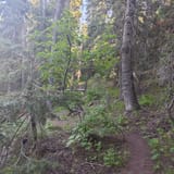 Emigration Canyon Miners Trail, Utah - 883 Reviews, Map | AllTrails