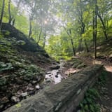 Schenley Park Double Loop, Pennsylvania - 1,091 Reviews, Map | AllTrails