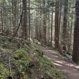 Excelsior Pass Trail, Washington - 668 Reviews, Map | AllTrails