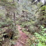 Marble River Trail , British Columbia, Canada - 153 Reviews, Map ...