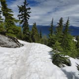 Mount Pilchuck Trail, Washington - 3,220 Reviews, Map | AllTrails