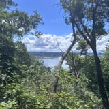 Marine View Park Loop Trail, Washington - 540 Reviews, Map | AllTrails