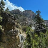 Fletcher Canyon Trail, Nevada - 2,804 Reviews, Map | AllTrails